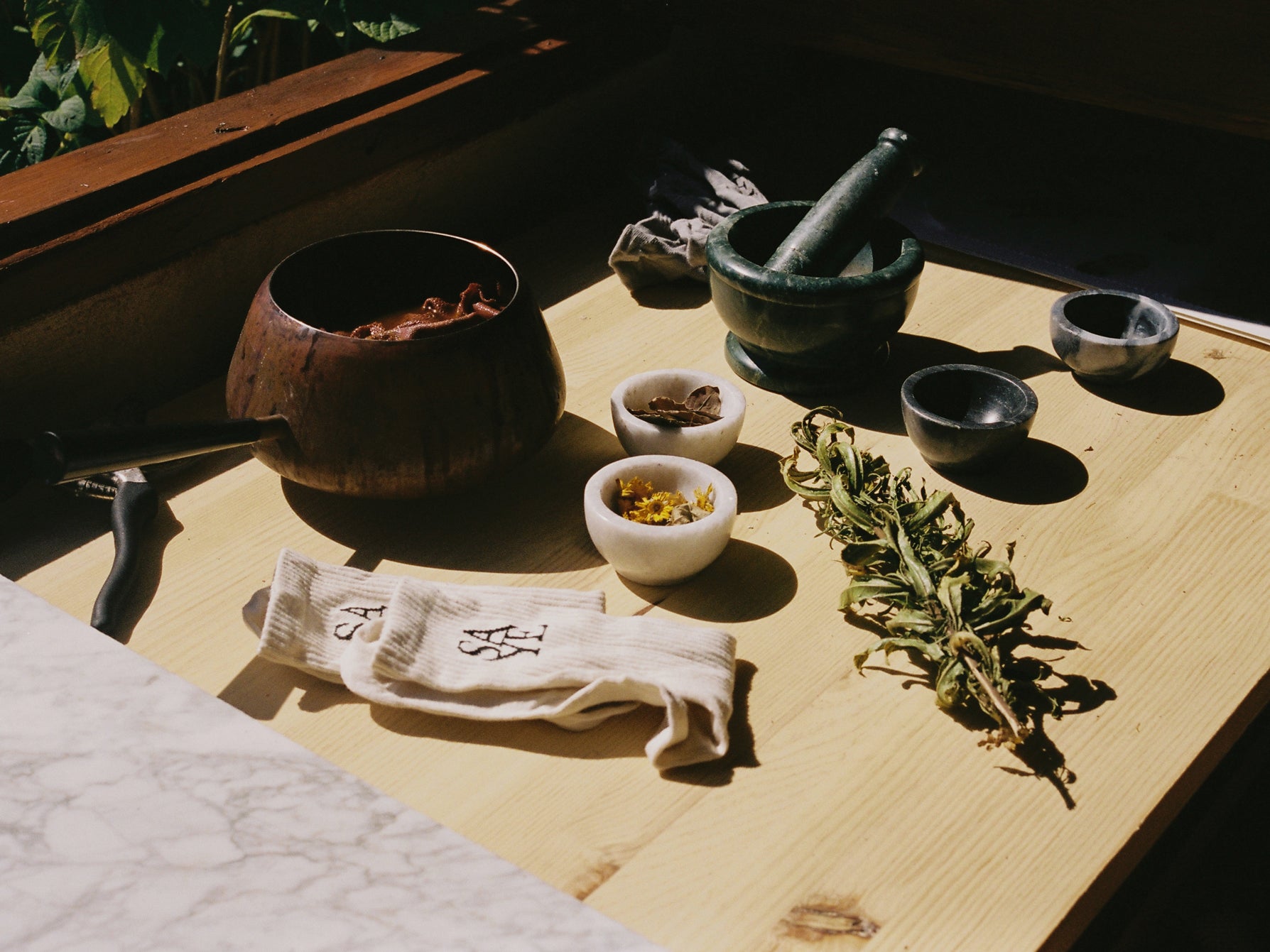 SAYE Talks - SonTons